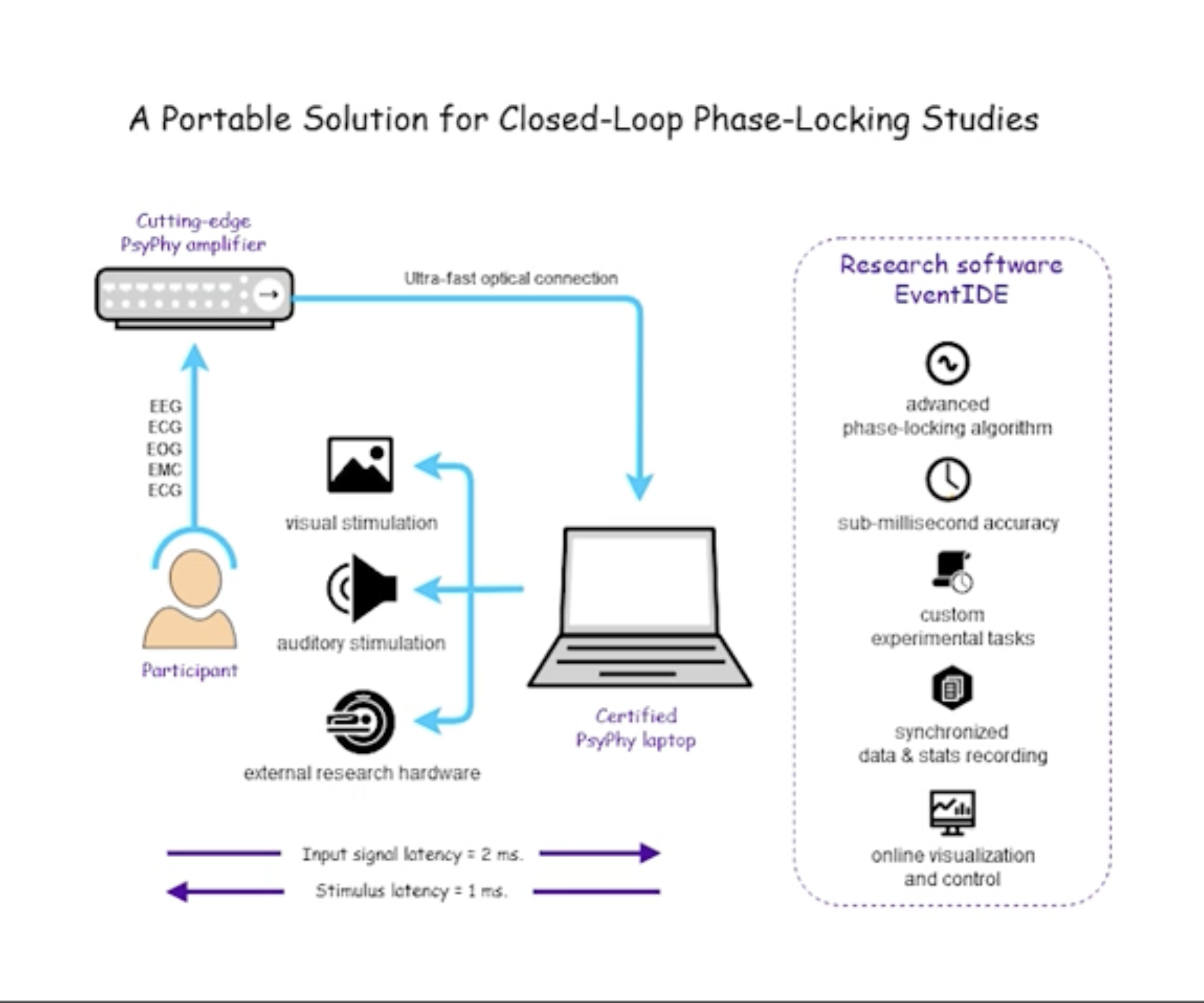Phase Locking | PsyPhy